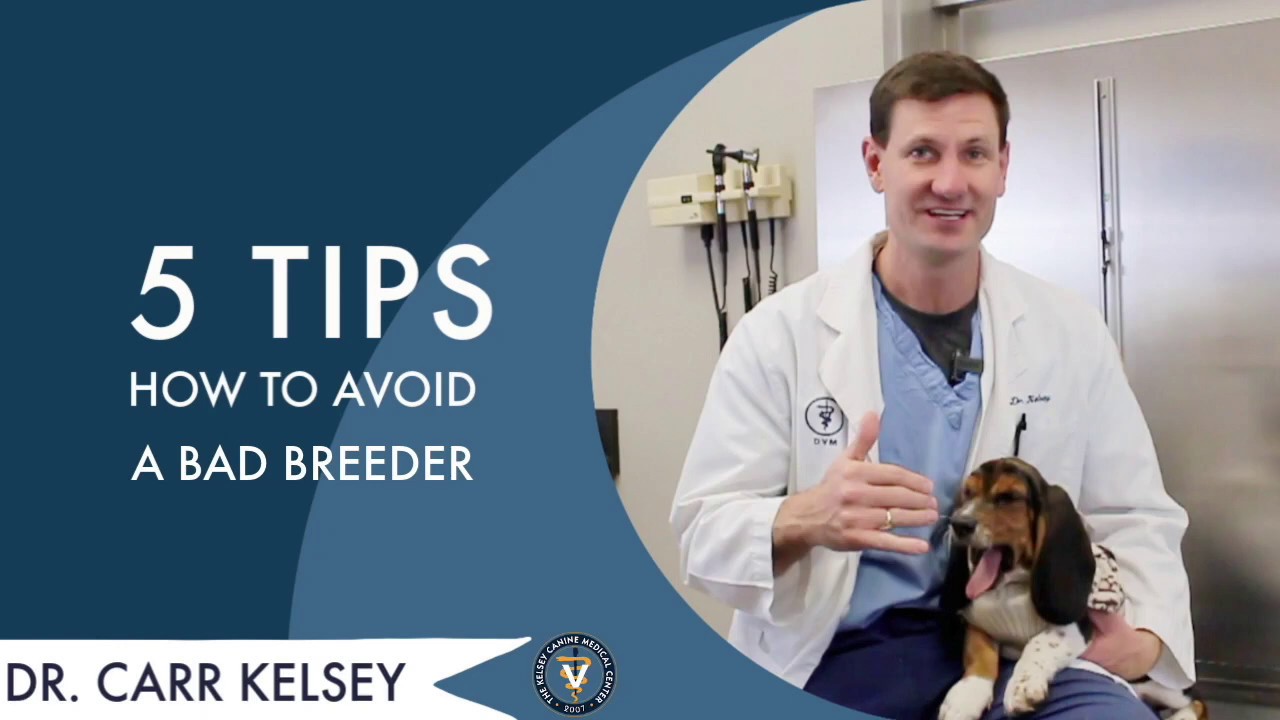 5 Tips To Avoid A Bad Breeder